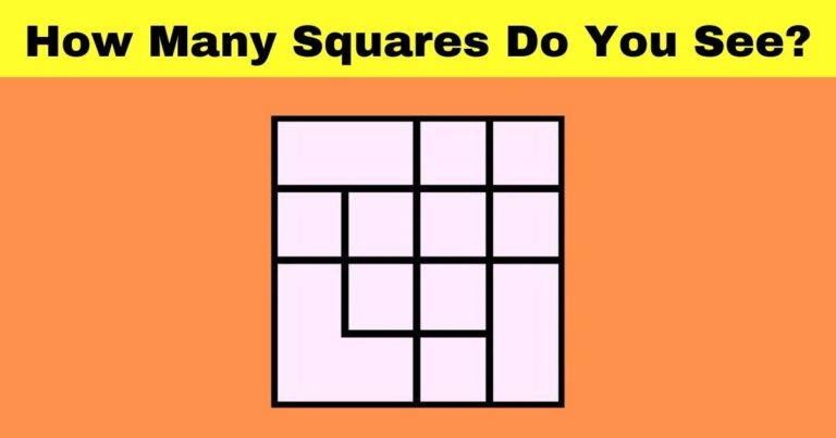 Check Yourself: How Many Squares Can You See In This Picture? Open The ...