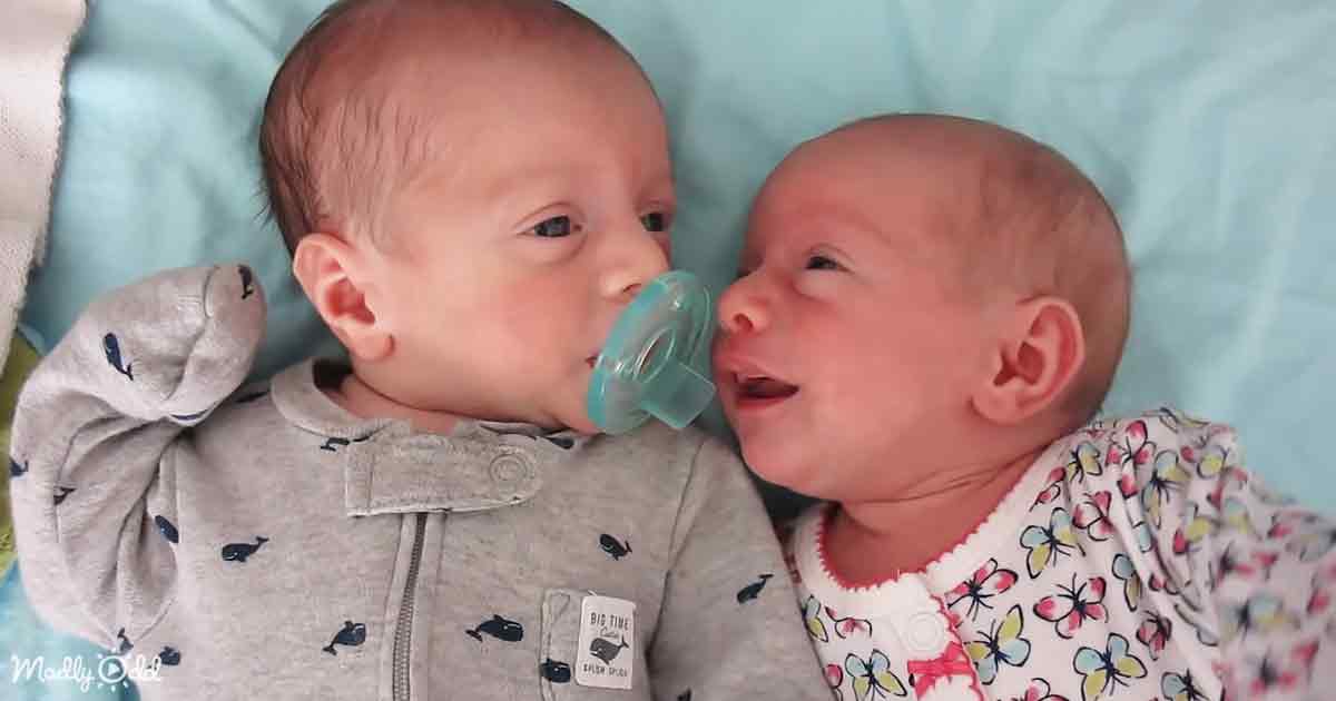 Newborn twins fight over a pacifier, with hilarious results. Video ...