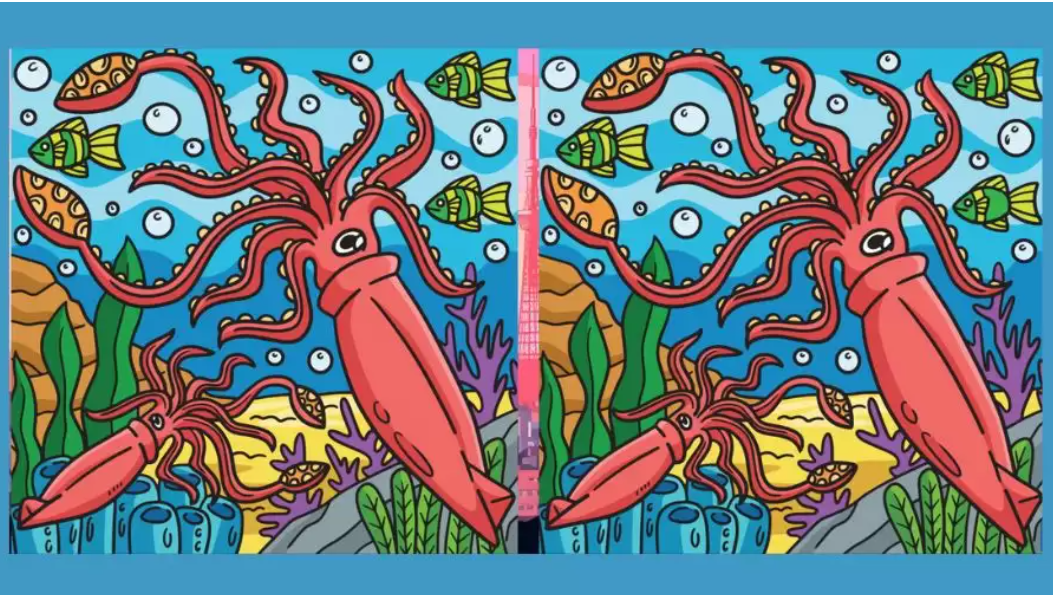 Can You Find the Difference Between Two Images Within 20 Seconds ...