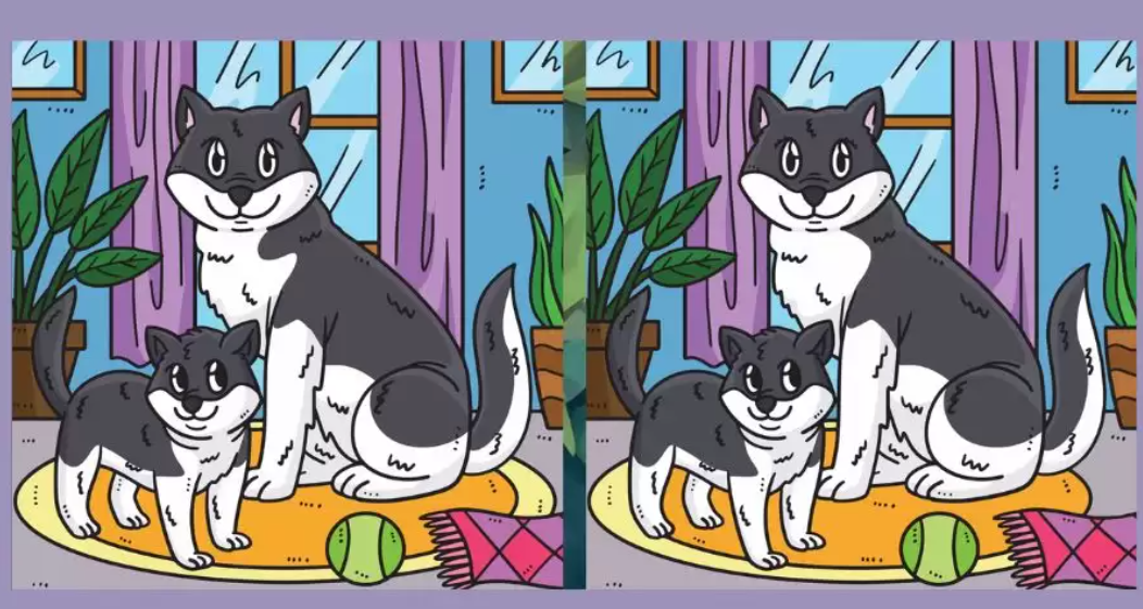 Can You Find the Difference Between Two Images Within 20 Seconds ...