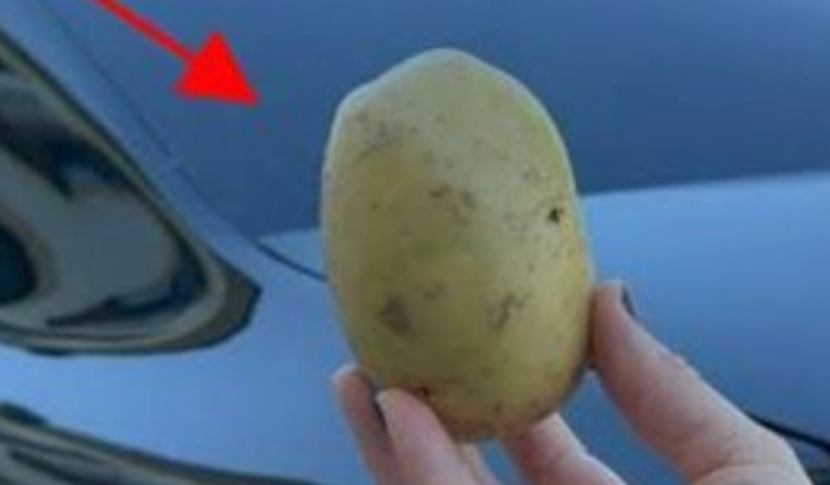 If you see your partner putting a potato in the car, you should know ...