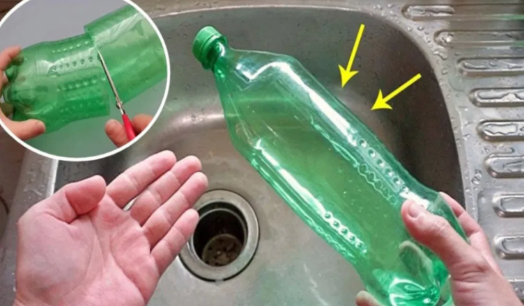 Cut the plastic bottle in half and put it in the sink. – Vibes Corner