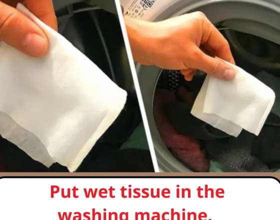 Unexpected benefits of putting wet towels in the washing machine ...