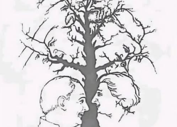 Can you find faces hidden in this tree? – Vibes Corner